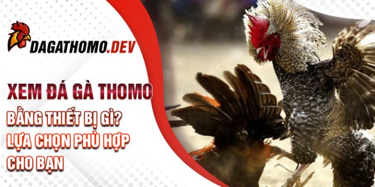 Xem Đá Gà Thomo Trực Tiếp 🔥 Hành Trình Đến Thành Công