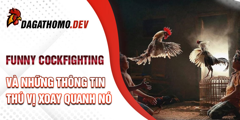 Xem Đá Gà Thomo Trực Tiếp 🔥 Hành Trình Đến Thành Công