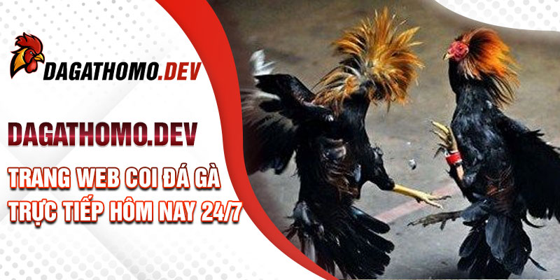 Xem Đá Gà Thomo Trực Tiếp 🔥 Hành Trình Đến Thành Công